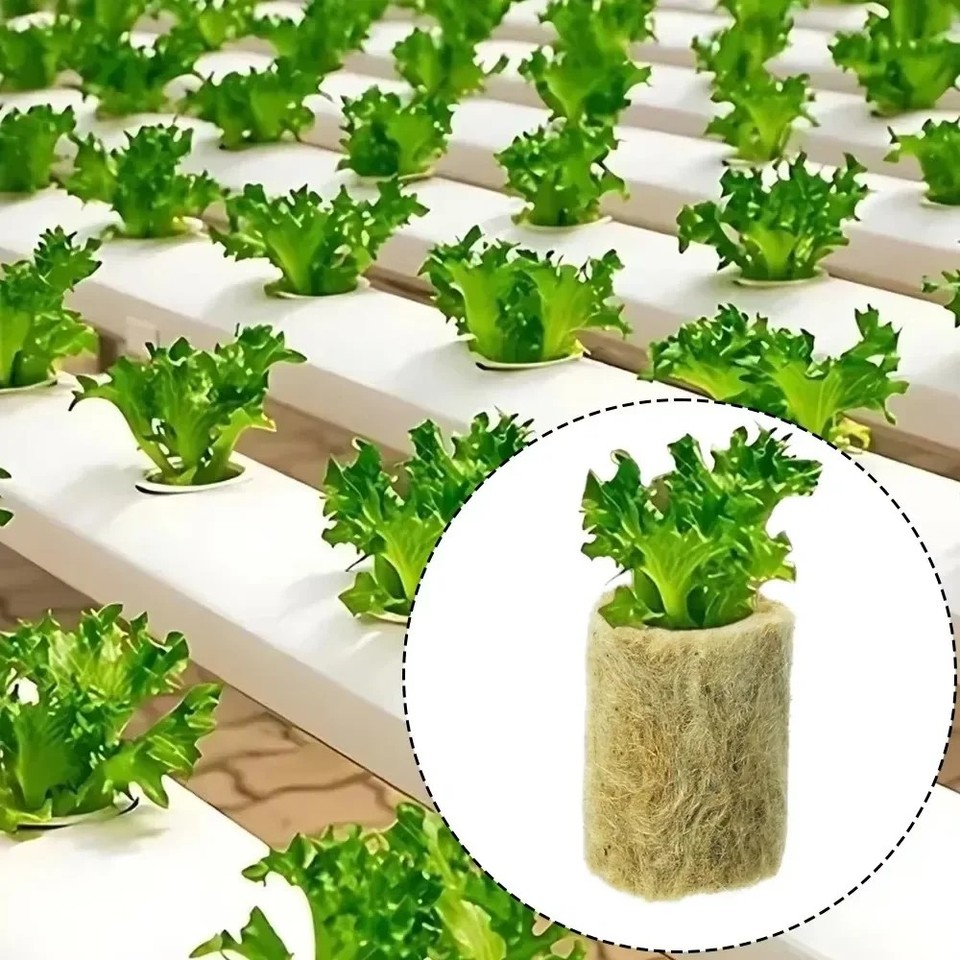 100 x Soiless Rockwool Propagation Planting Cubes SBS Seeds Cuttings ...