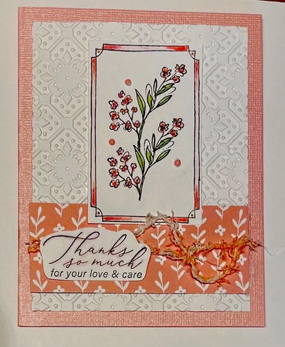 4 Stampin Up “Thanks so much for love & care” New SAB 2025 Mini Card ...