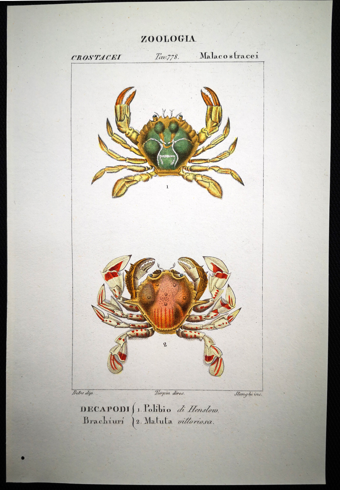 1831,PRETRE ORIGINAL ENGR. FINE ANTIQUE WATERCOLOURING MATUTA VICTOR ...