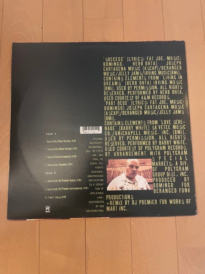Fat Joe Success 12" Vinyl Record Black Edition, Rap Album, Used | eBay