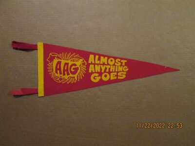 AAG Almost Anything Goes Vintage Circa 1975-76 9x231/2 Size TV Show ...