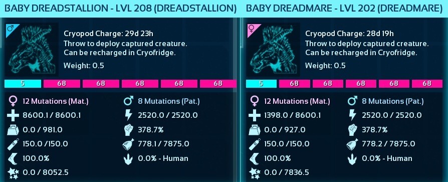 ARK Survival Ascended PvE DREADMARE DREADSTALLION PAIR COTTON CC /XBOX ...