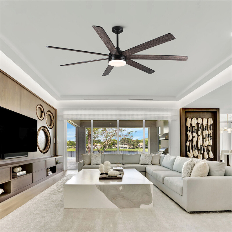 Dual Ceiling Fan With Light