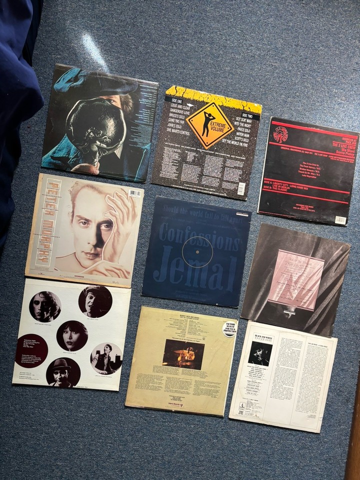 Vinyl LPs RARE OOP Rock, New Wave, Rap R&B EX to GD READ FOR GRADE Pick ...