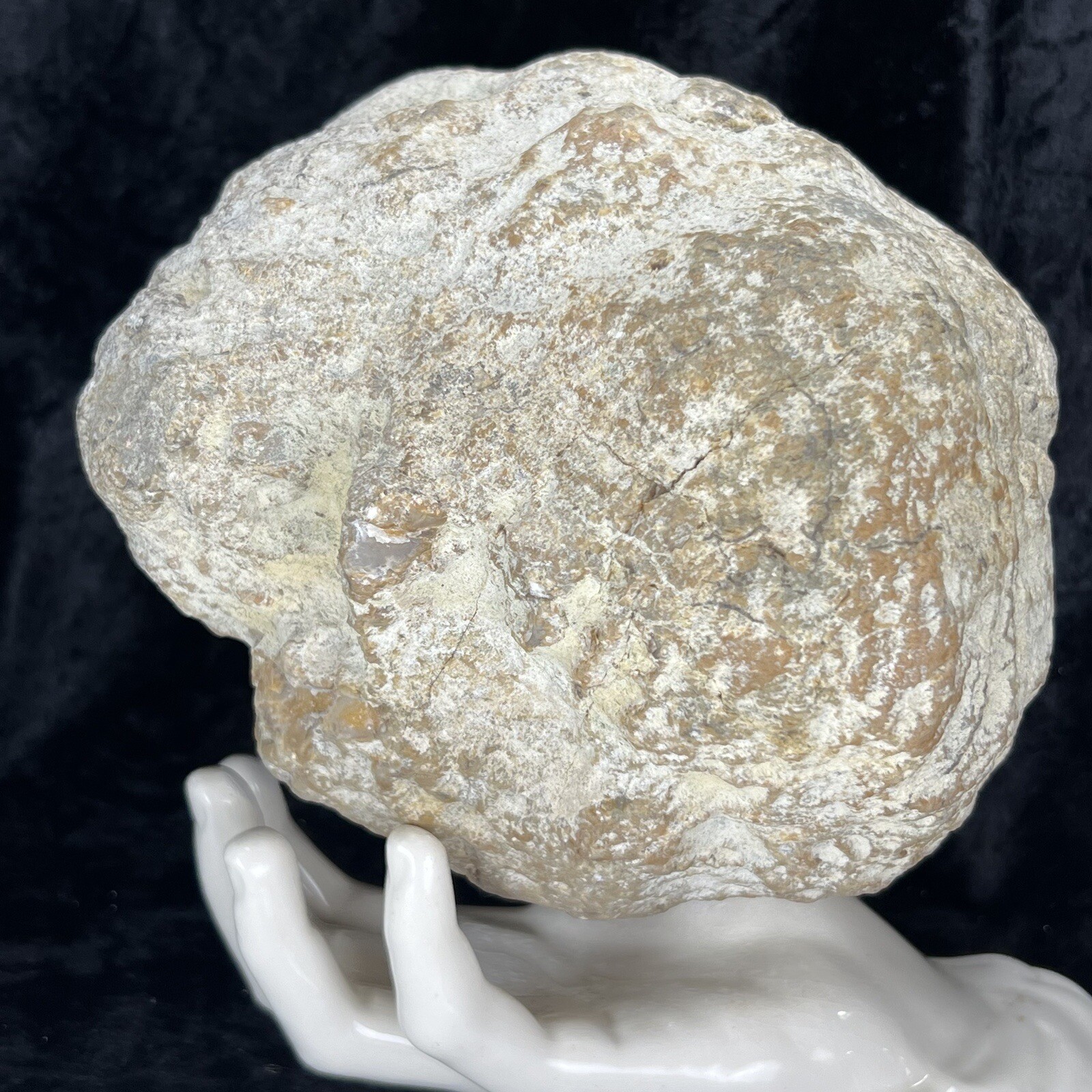 6-1/2” Unopened Geode Agate Rattler Crystal Quartz Cut Break Your ...