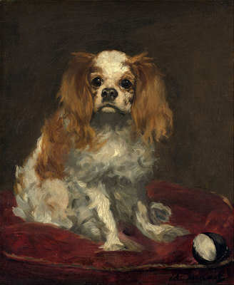 Edouard Manet : "A King Charles Spaniel" (c.1866) - Giclee Fine Art ...