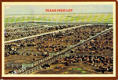 Aerial View-Texas Feed Lot-Ranch Cattle- Western Stockyard-TX 1987 Vtg ...