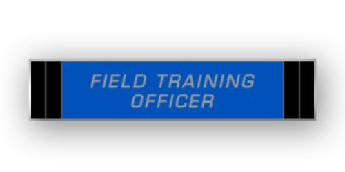 New "Field Training Officer" Citation Bar Lapel Pin | eBay