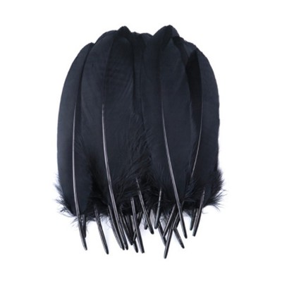 100Pcs 6-8inch Natural Large Goose Feathers Plume Colored Feathers for ...