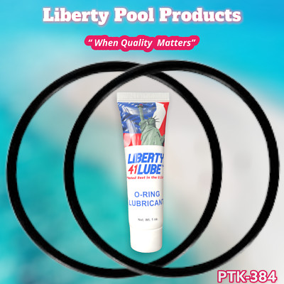 GMX400F O-Ring OEM For S140T Pro Sand Filter(2-PACK + LUBE TUBE) Fits ...