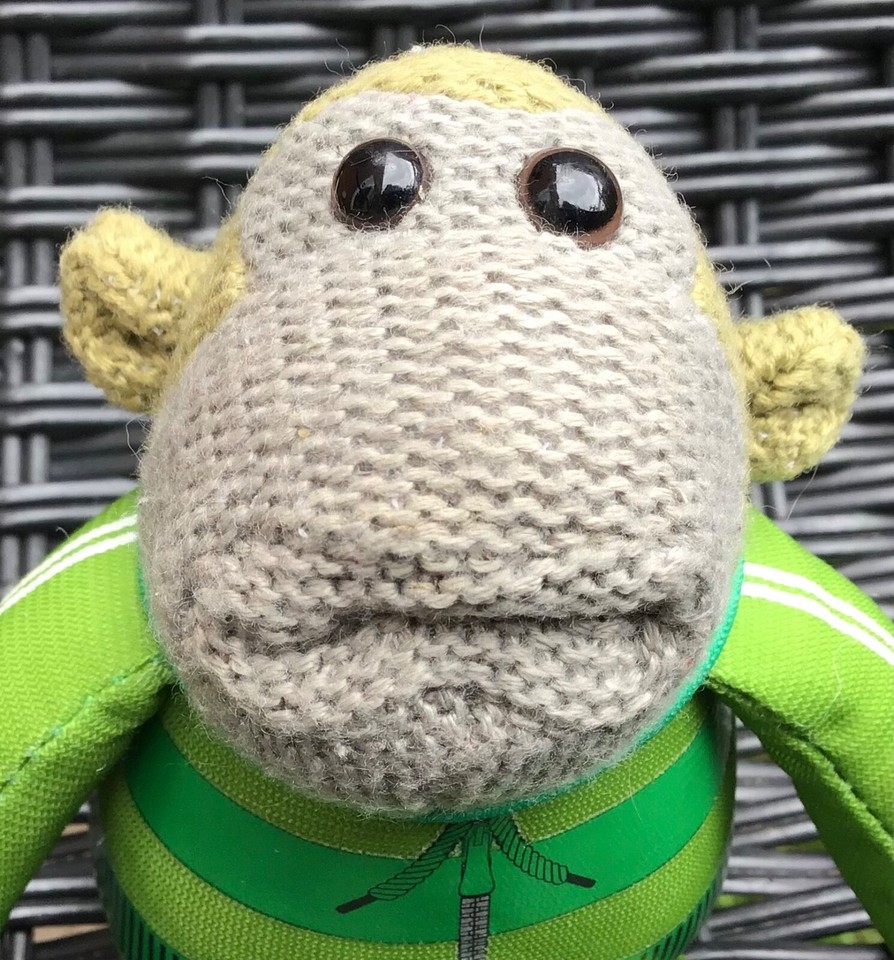 PG Tips Tea monkey in his ready fitted gym kit P.G. Chimp | eBay