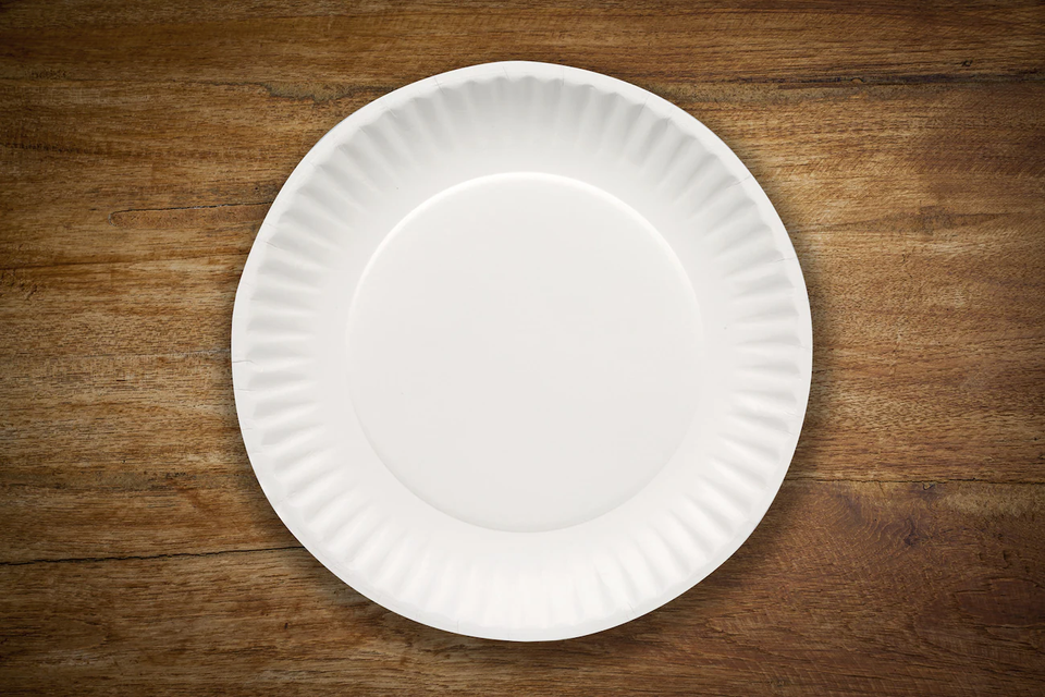 40ct Paper Plates 9" Inch Diameter ~Disposable White Paper Party Food ...