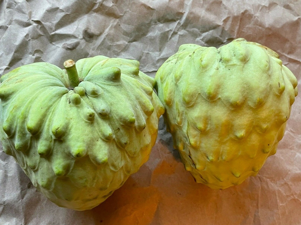 Atemoya Vs Cherimoya