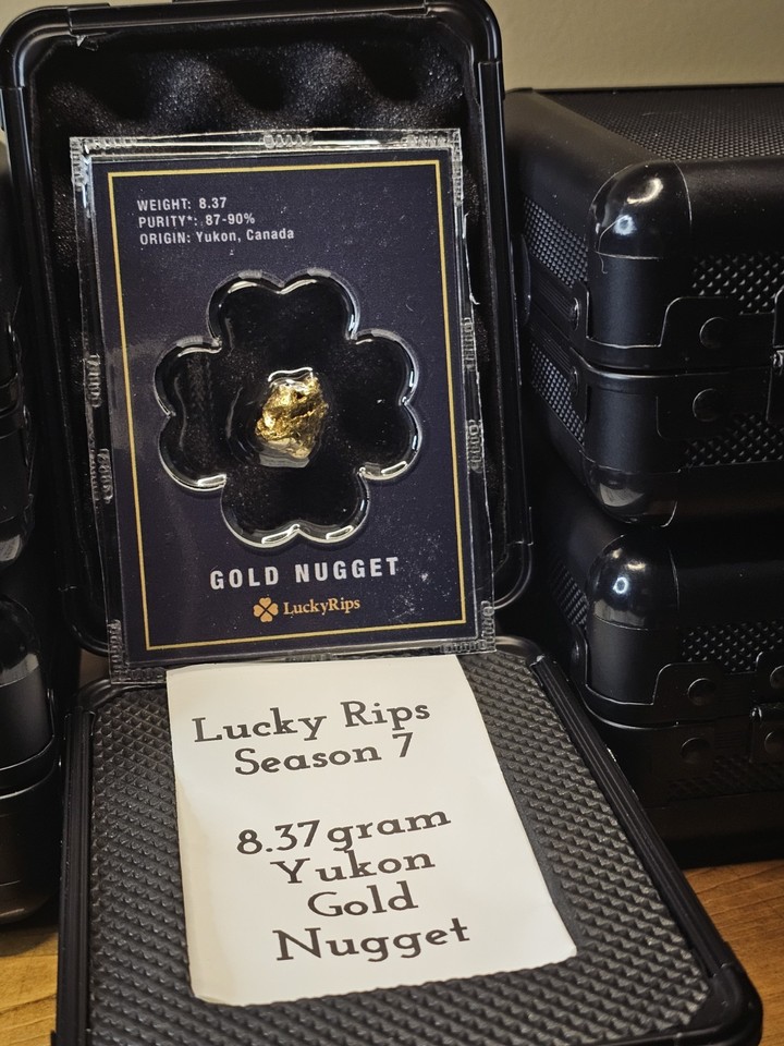 Rare Yukon Gold Nugget Lucky Rips Series 7 Charm Chase 8.37 Gold Nugget ...