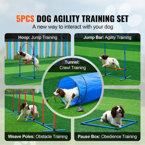 Dog Agility Training Kit Obstacle Course Equipment Set Jump Tunnel ...