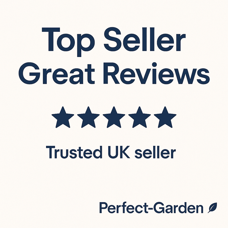 Dumbbell Set 10kg Multi PU-Cased Cast Metal Colourful With Case ...