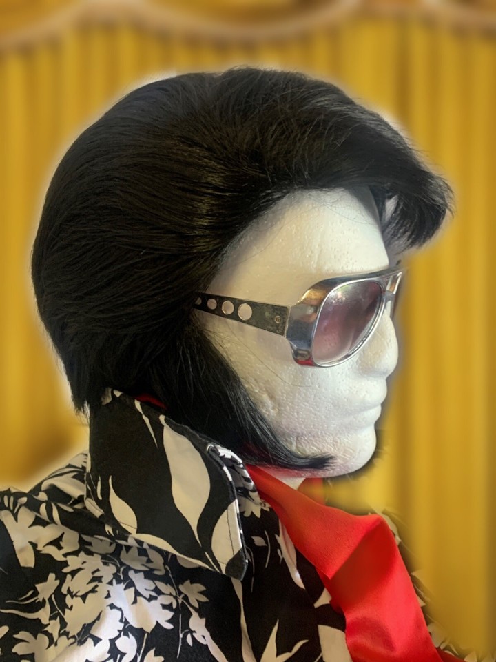 ELVIS WIG with SIDEBURNS - “Helmet Hair 75-77” ETA - READ THE ...