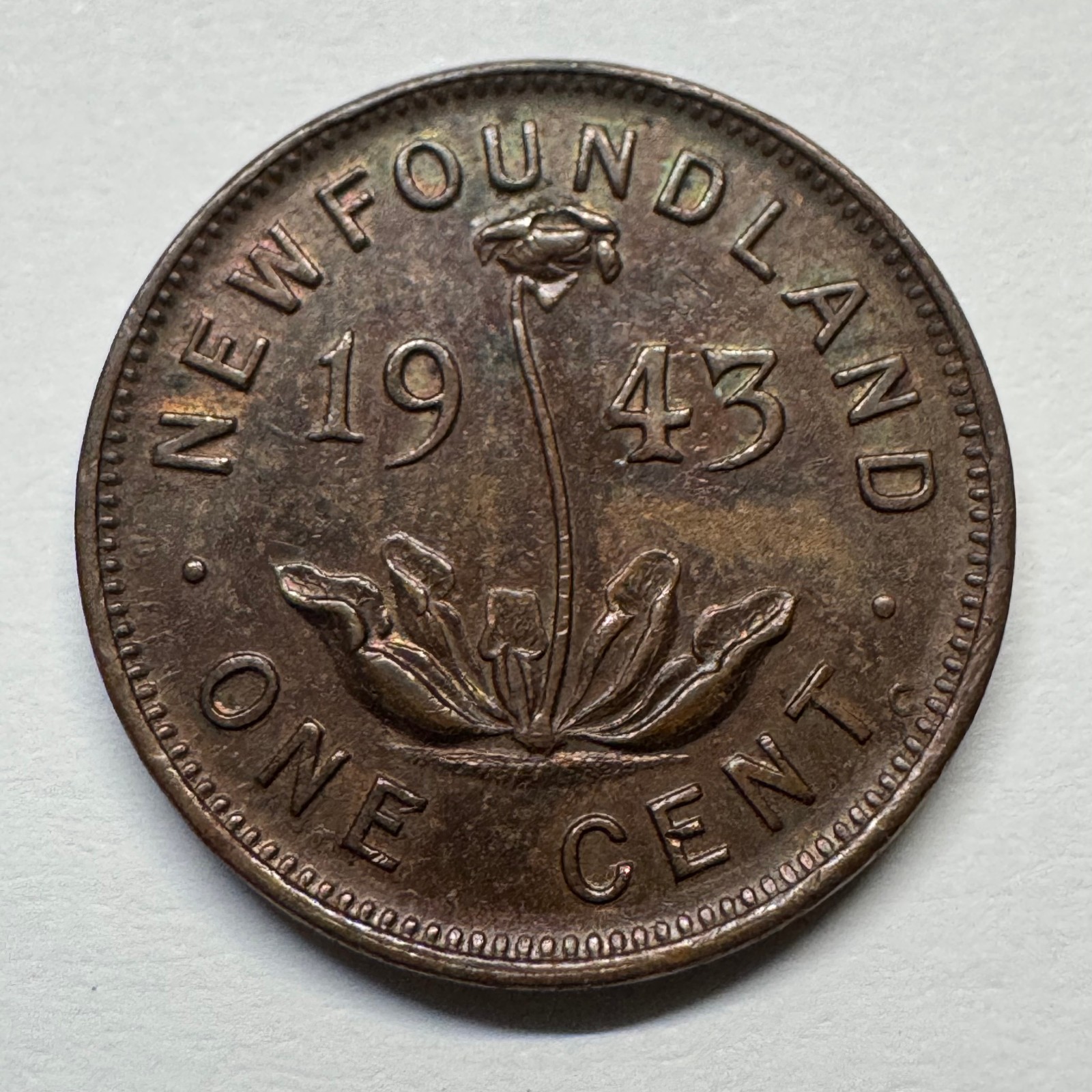 1943 Newfoundland 1 Cent Canada - Coin #C-026 | eBay