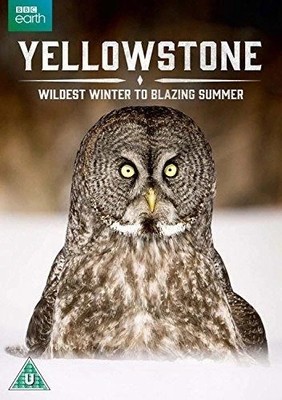 YELLOWSTONE Wildest Winter to Blazing Summer BBC EARTH UK DVD NEW AND ...