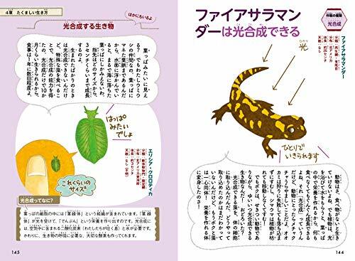 Survival Strategy of Those Who Can Eat Tenacious Creature Picture Book ...