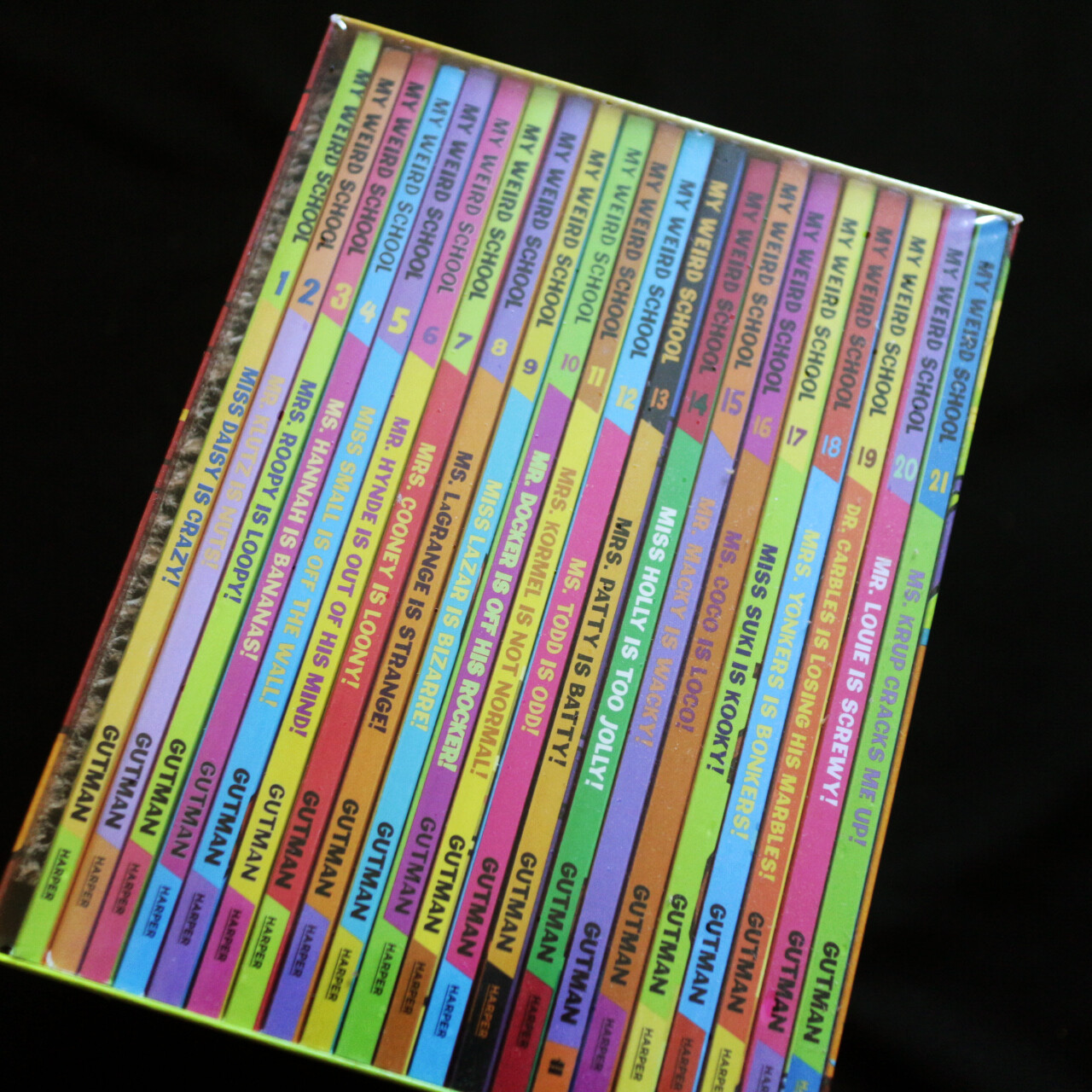 NEW My Weird School Series Book Boxed Set (21 books) Box Dan Gutman ...