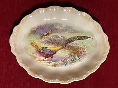 Large Carnation Mc.Nicol Pheasant Platter 12 X 10 in | eBay