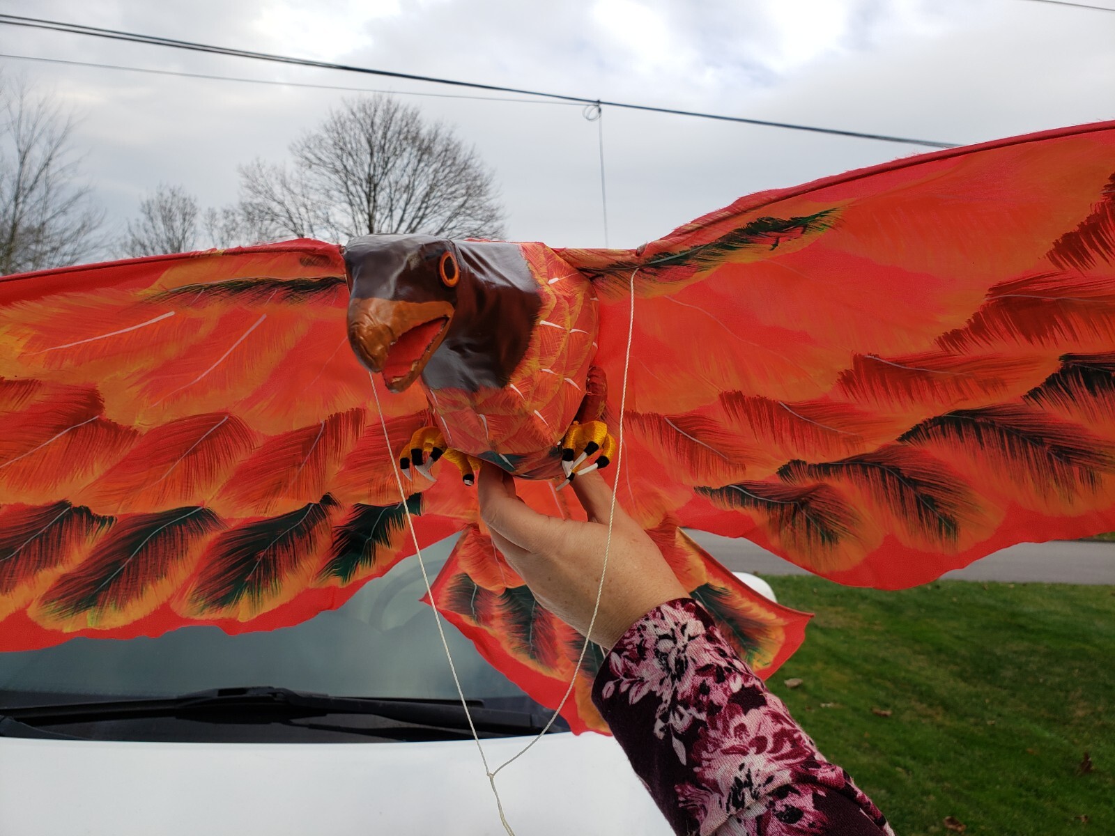 Red Falcon Kite | eBay