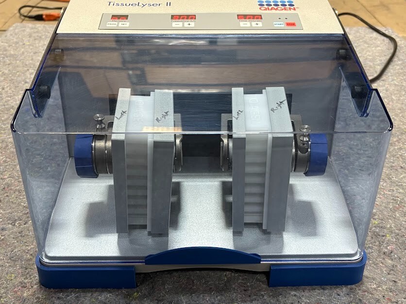 QIAGEN Tissuelyser II Processor Prep Sample Disruptor Homogenizer Mill ...