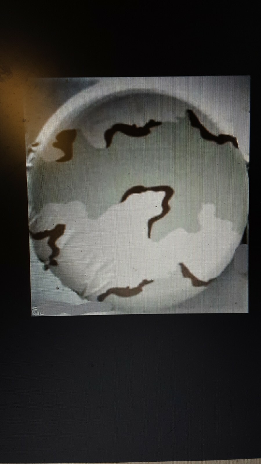 Box of 30 pcs US Military Camouflage Tire Cover / Field Pack Cover New ...