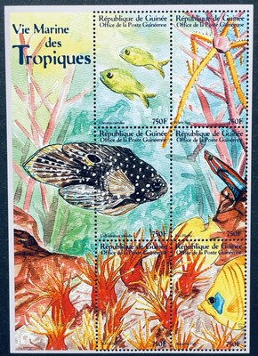 GUINEA TROPICAL MARINE LIFE STAMPS SHEET 2001 MNH WILDLIFE FISH CORAL ...