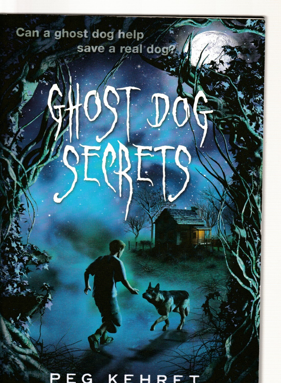 Ghost Dog Secrets