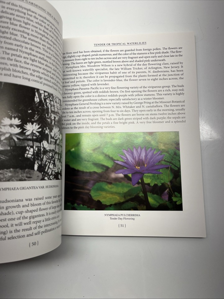 Water Gardening Idea Book : How to Build, Plant, and Maintain Ponds ...