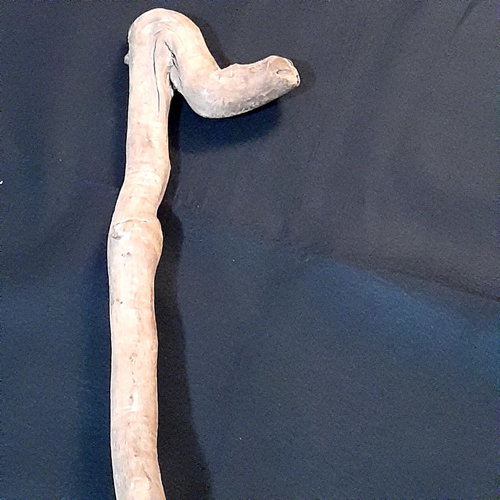 Vintage Walking Cane Staff Cypress Burl Wood Light C… - Gem