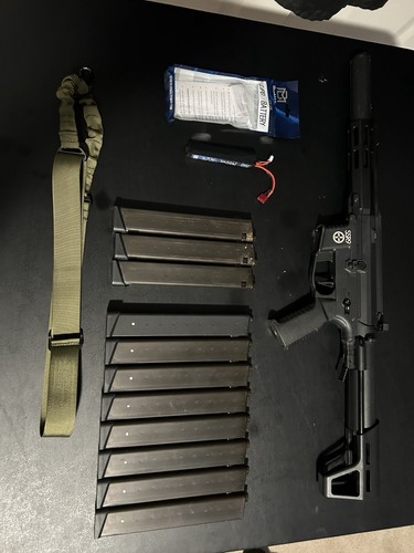 Novritsch Airsoft Gun(SSR-9 DSG) with accessories, extra magazines, and ...