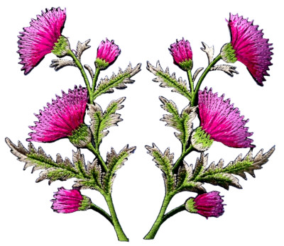 FLOWER PATCH X 2, THISTLE, bright purple pair *SEW-ON/IRON-ON* Scotland ...