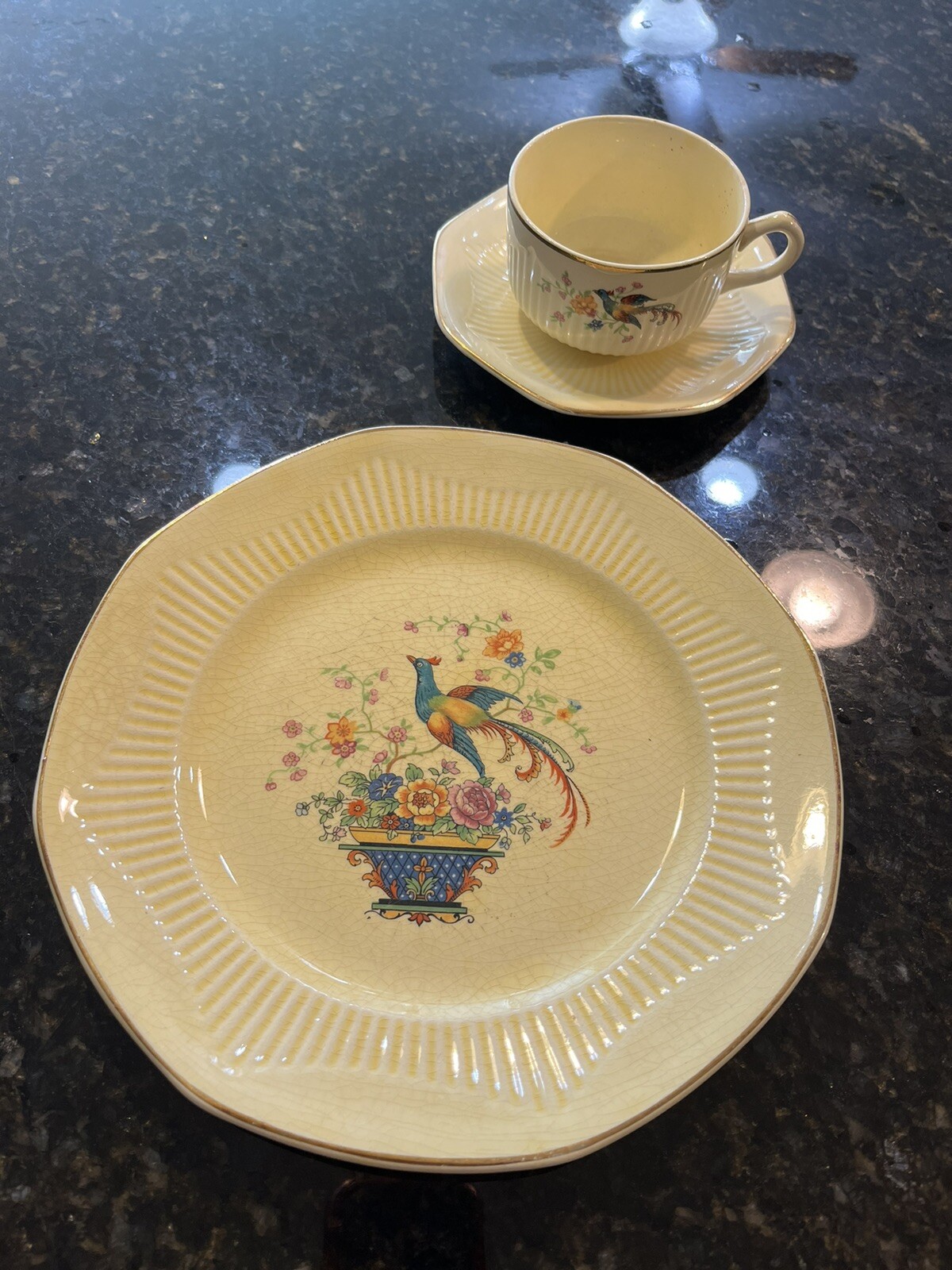 Dinner Plates Cups Saucers Yellow Bird of Paradise Set 18 Antique Ivory ...