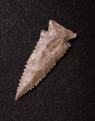 WELL MADE AUTHENTIC EARLY ARCHAIC PINE TREE POINT FROM LYON CO ...