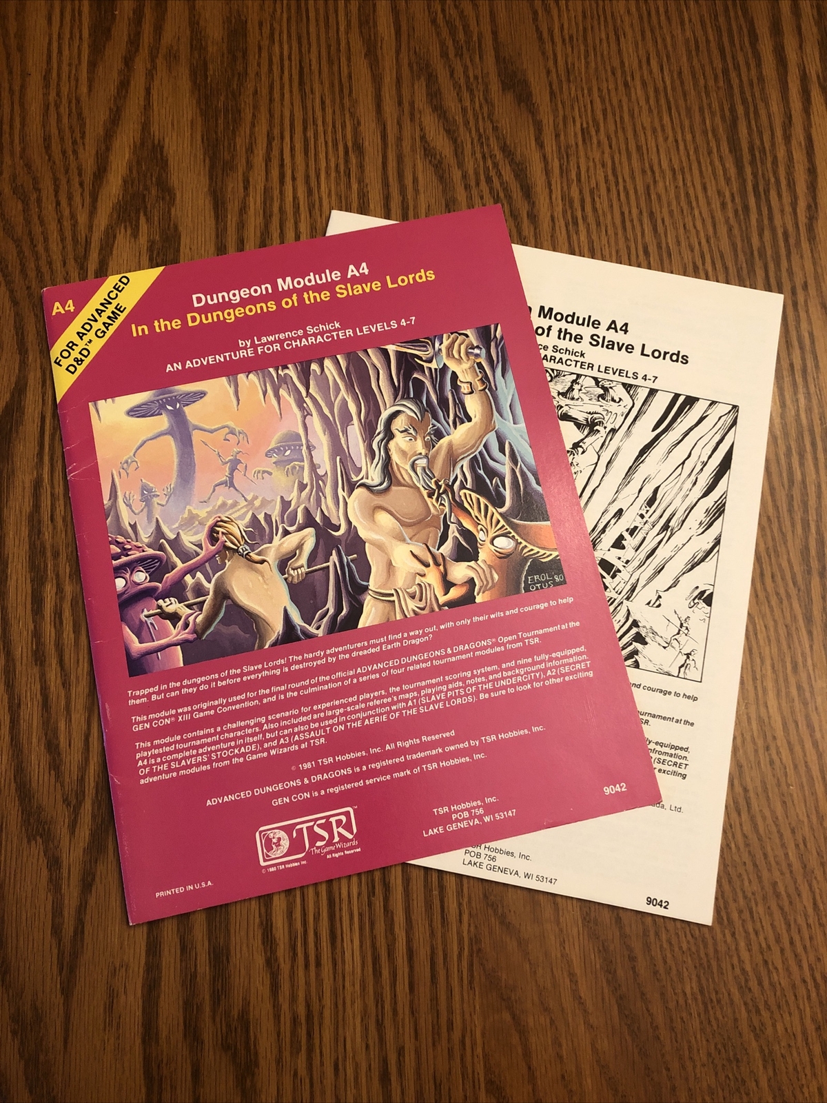 NM/UNUSED 1st PRINT! A4 IN THE DUNGEONS OF THE SLAVE LORDS 1981 D&D 1st ...