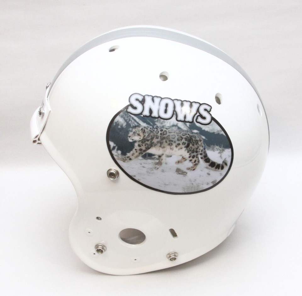 Custom Full Size Football Helmet Decal Set - 20 mil 3M - Speed ...