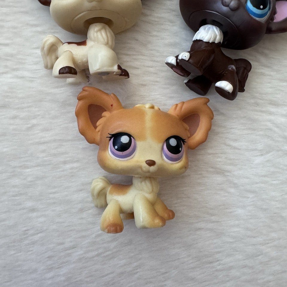 Lot of 3 Authentic Littlest Pet Shop LPS Chihuahuas 219, 385 & 96 ...