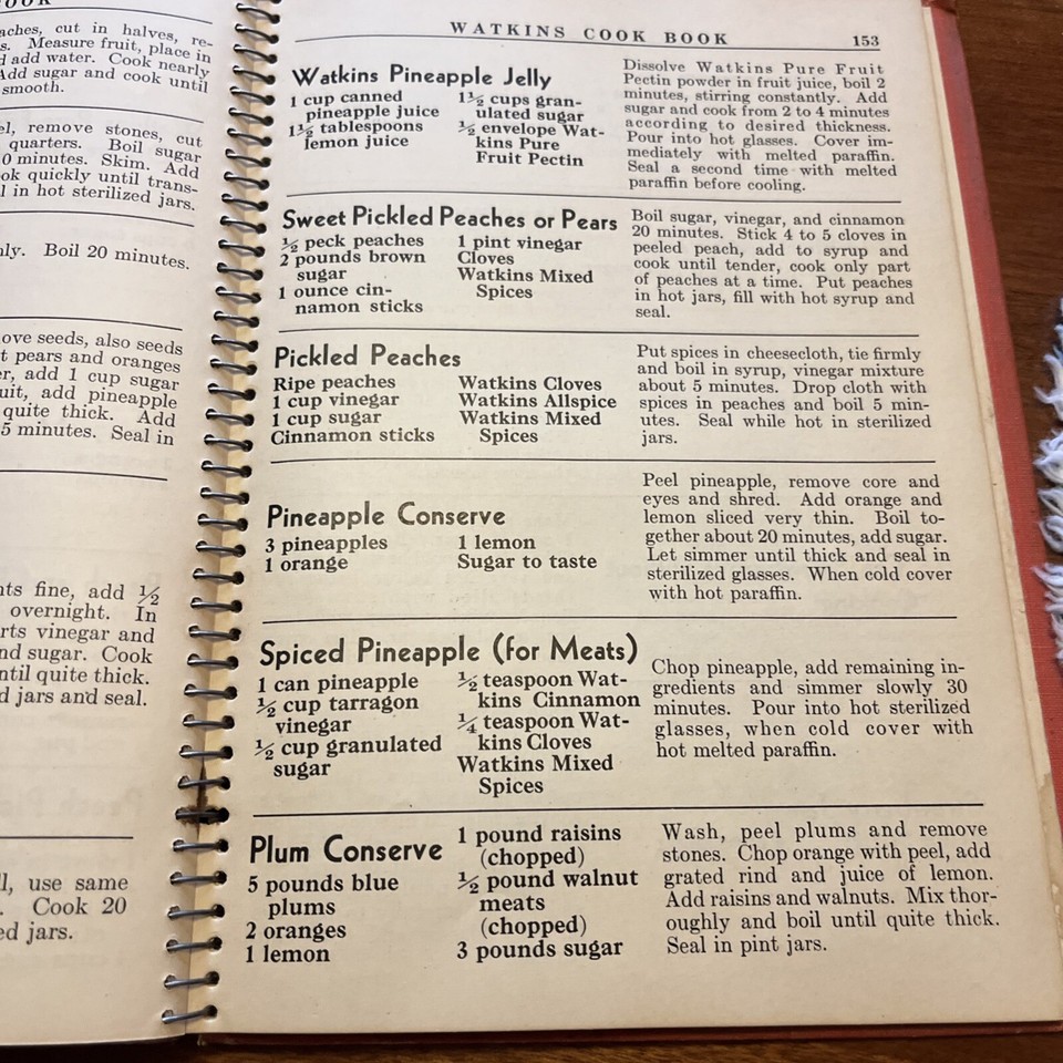 Watkins Cook Book J.R. Watkins Co 1936 Spiralbound Vintage Recipes ...