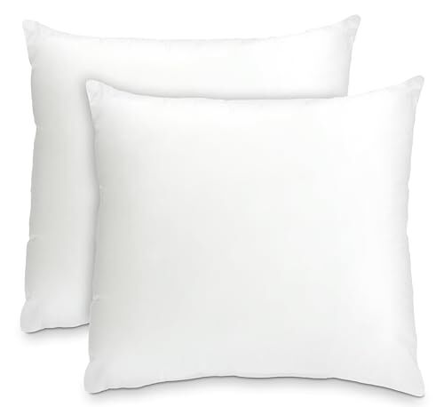 Foamily Throw Pillows Insert Set of 2-24 x 24 Insert for Decorative ...
