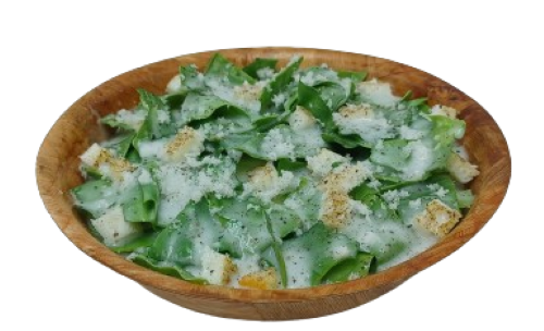 Display Fake Food Prop Cesar Salad | eBay