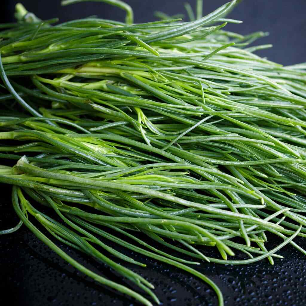 Saltwort Seeds - Okahijiki - Herb Seeds - USA Grown - Non Gmo | eBay