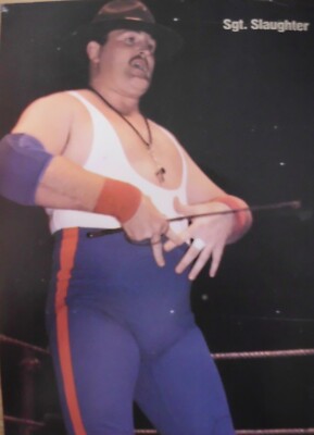 AWA PRO WRESTLING VOL 2 1984 DVD (W-837) | eBay