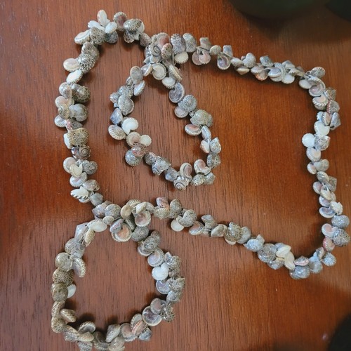 Vintage Snail Shell Necklace, Tiny Snail Shells strung to make a 36 ...