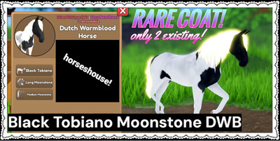 IUH: Black Tobiano Moonstone DWB (2OAK) (Island Unique Hair) Wild horse ...