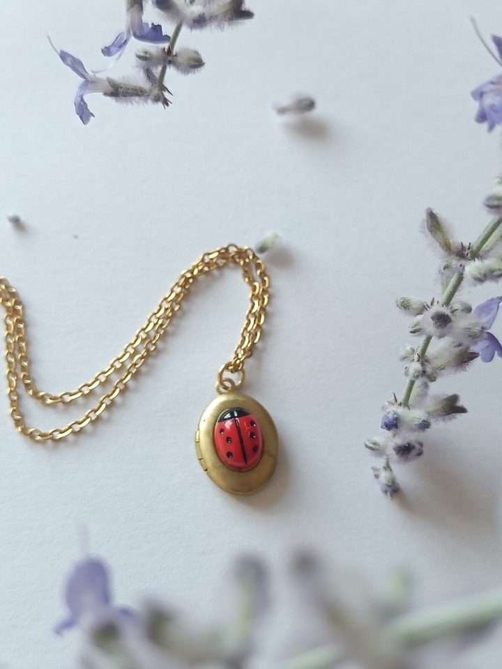 N.O.S Vintage ladybug necklace, lucky ladybug locket necklace, gold ...