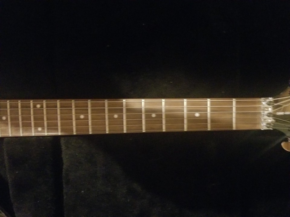 DIME Washburn 333 Guitar washburn Dime Bolt 2005 | eBay