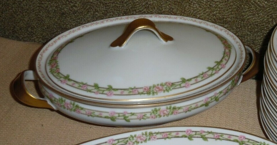 Theodore Haviland Limoges Porcelain Dinner Set - Wanamaker - Schleiger ...